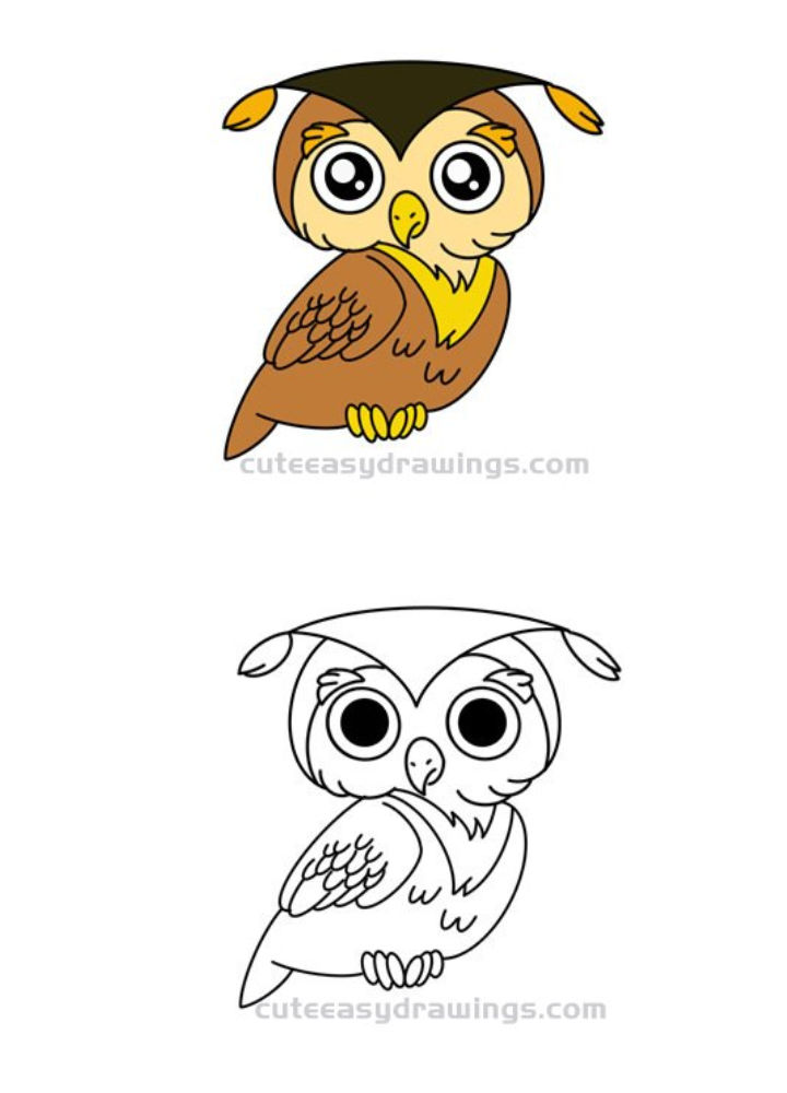 25 Easy Owl Drawing Ideas - How to Draw an Owl - Blitsy