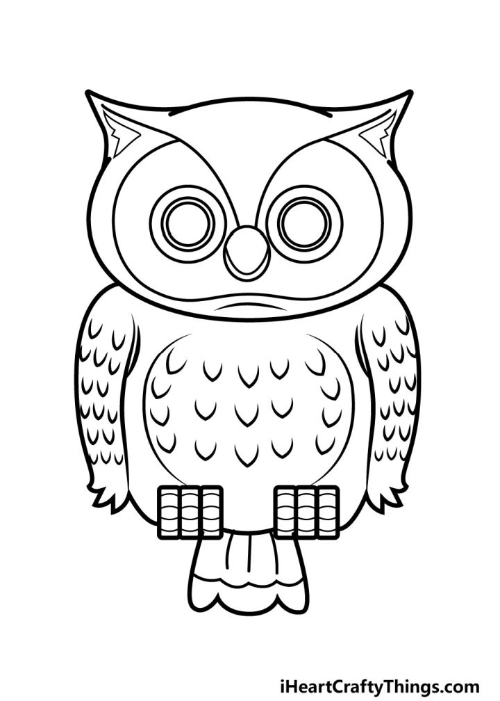 25 Easy Owl Drawing Ideas - How to Draw an Owl - Blitsy