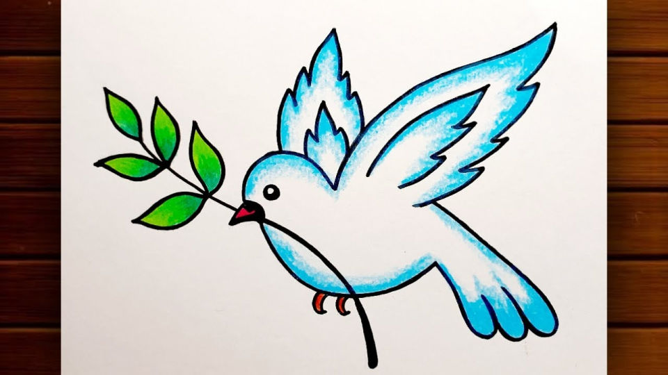 15 Easy Dove Drawing Ideas - How to Draw a Dove