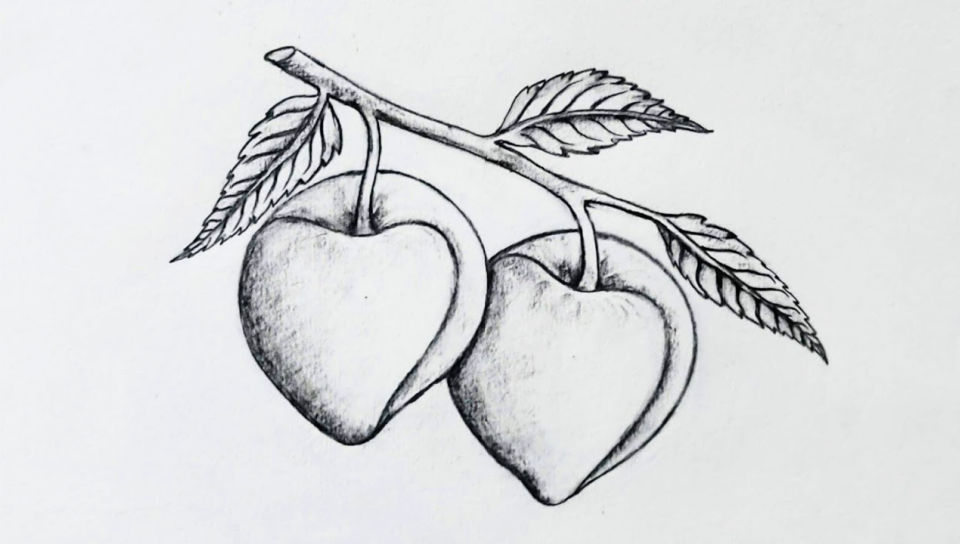 15 Simple Peach Drawing Ideas - How to Draw a Peach - Blitsy
