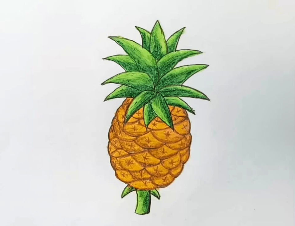 25 Easy Pineapple Drawing Ideas - How to Draw a Pineapple