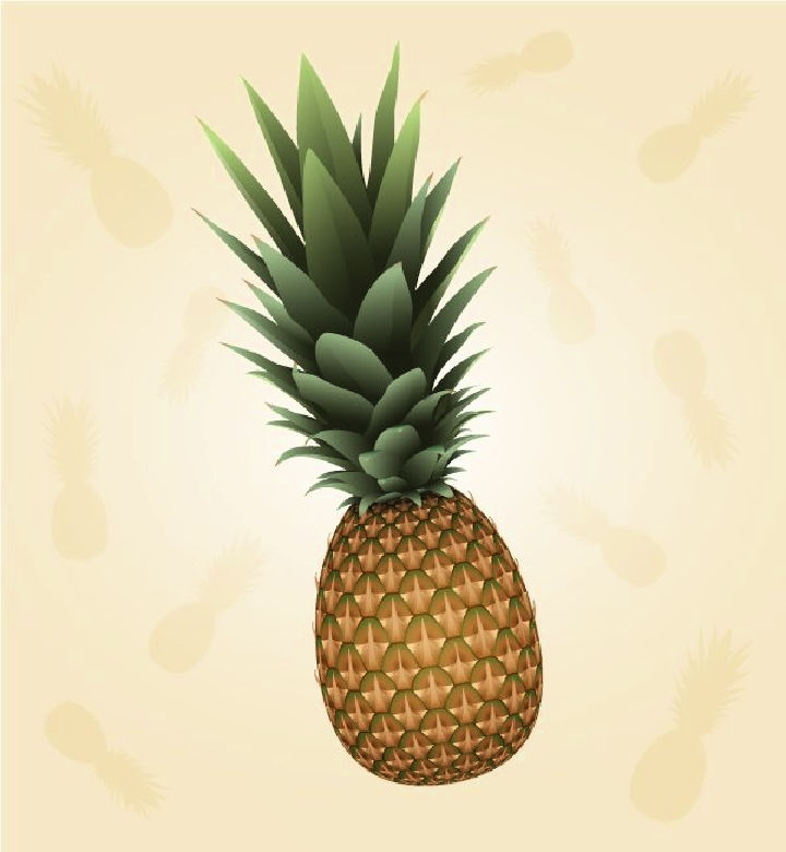 25 Easy Pineapple Drawing Ideas - How to Draw a Pineapple