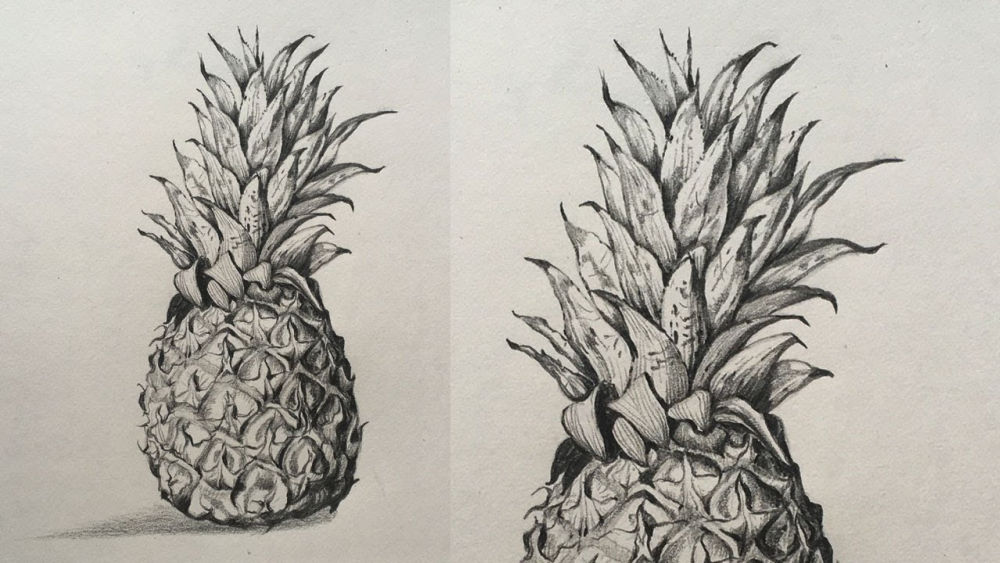 25 Easy Pineapple Drawing Ideas - How to Draw a Pineapple