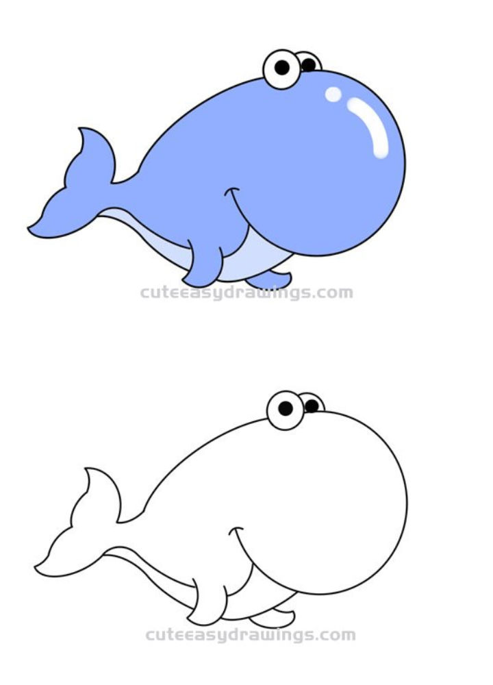 25 Easy Whale Drawing Ideas - How to Draw a Whale