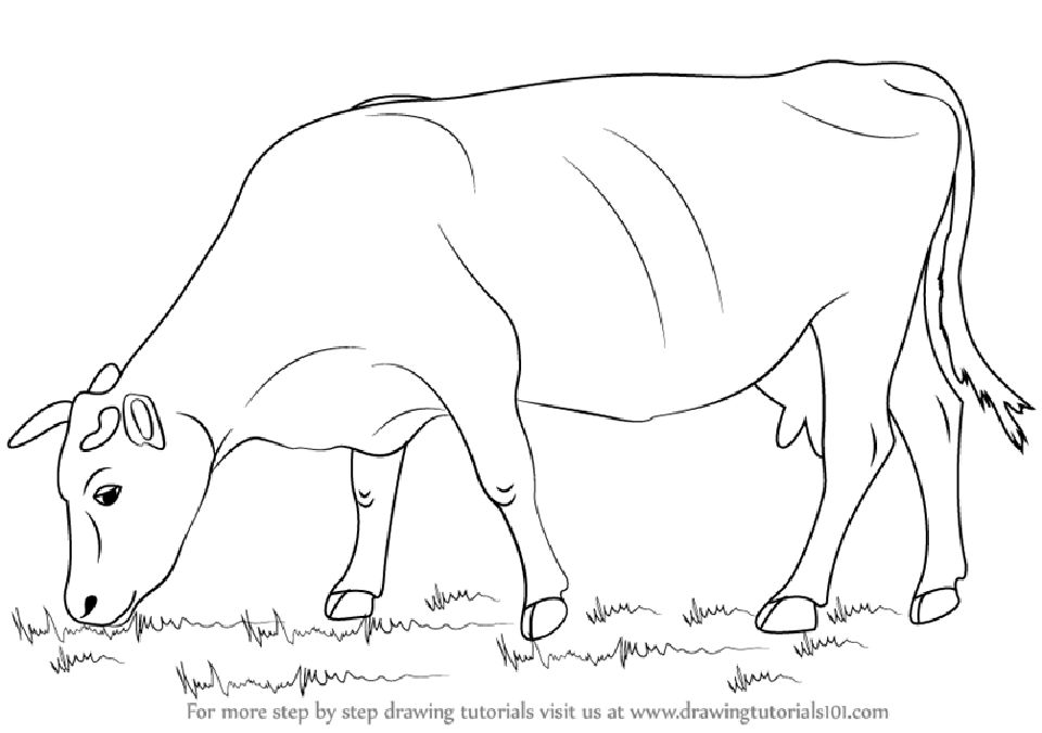25 Easy Cow Drawing Ideas - How to Draw a Cow - Blitsy