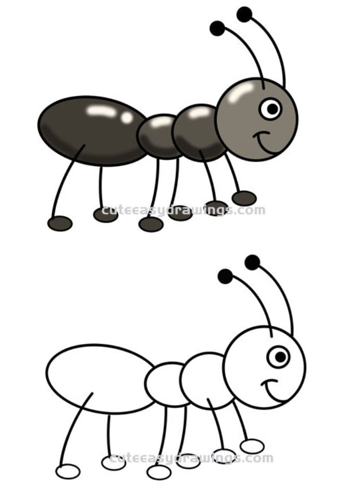 25 Easy Ant Drawing Ideas - How to Draw an Ant