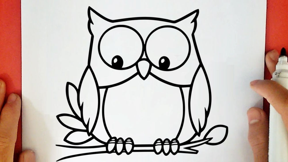 25 Easy Owl Drawing Ideas - How to Draw an Owl - Blitsy