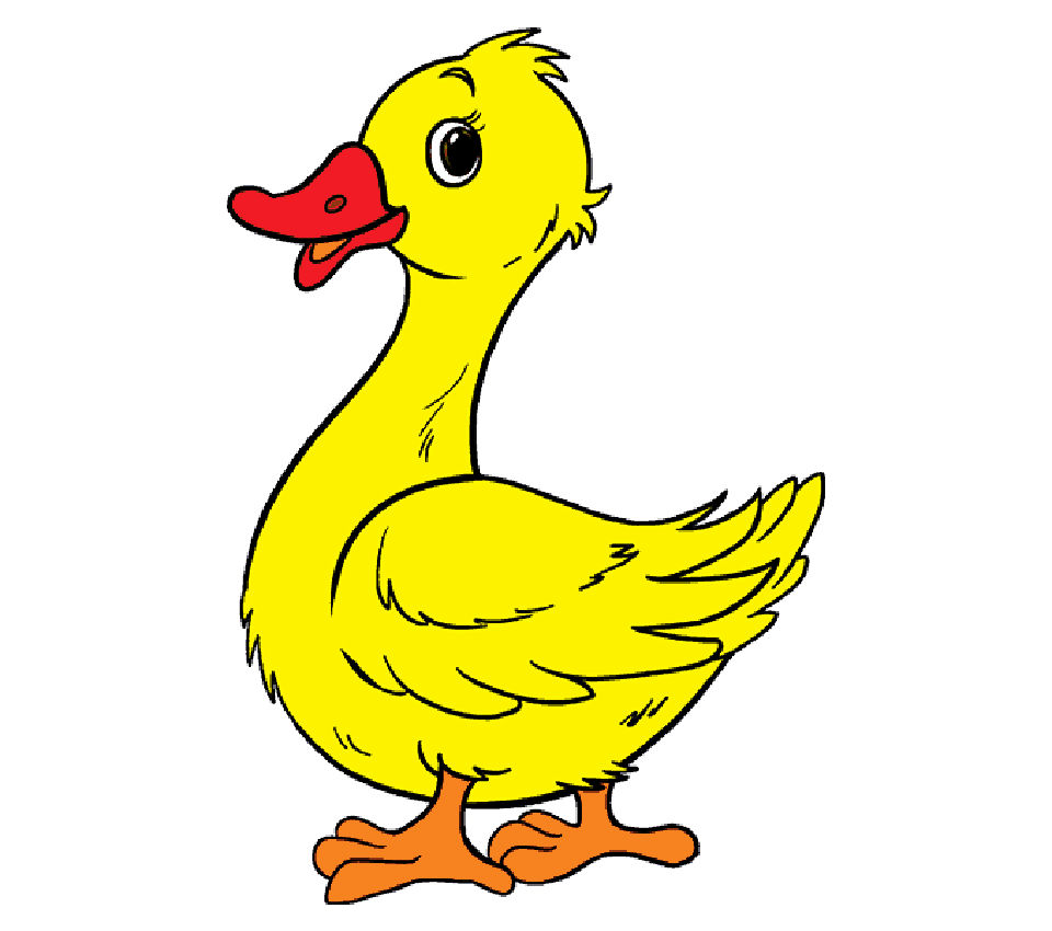 25 Easy Duck Drawing Ideas - How to Draw a Duck - Blitsy