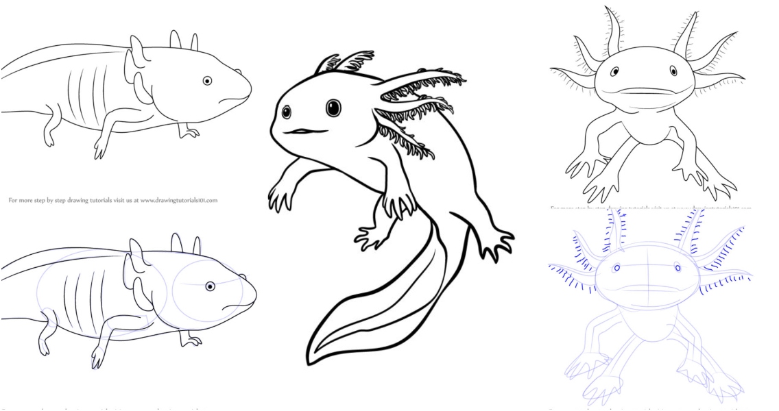How To Draw A Minecraft Axolotl - Roberts Thenly