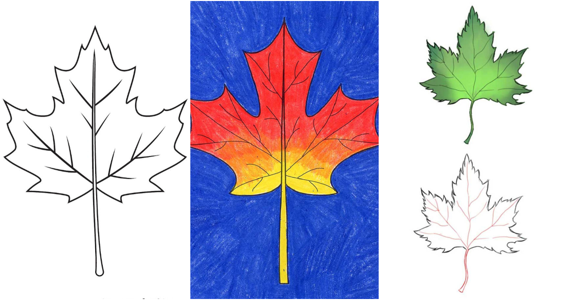 15 Easy Fall Leaf Drawing Ideas - Fall Leaves Drawing