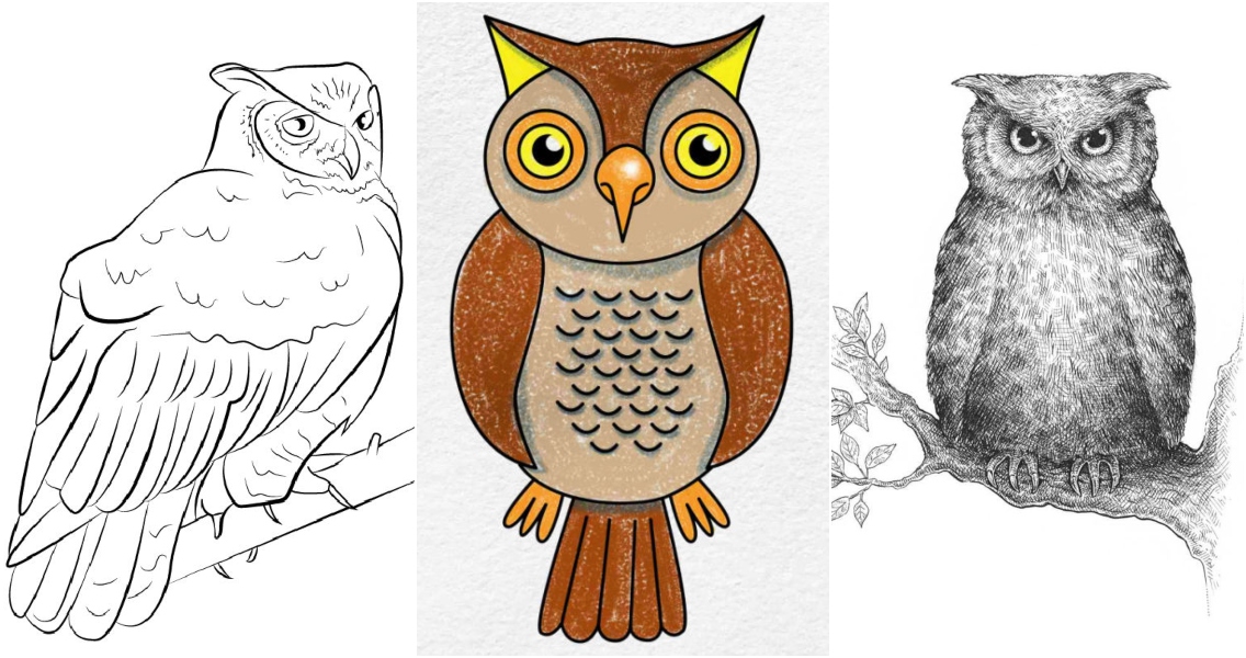 25 Easy Owl Drawing Ideas - How to Draw an Owl - Blitsy