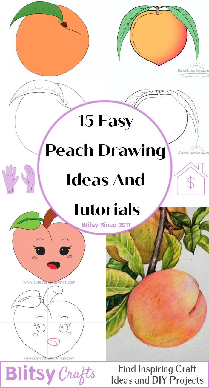 15 Simple Peach Drawing Ideas - How to Draw a Peach - Blitsy