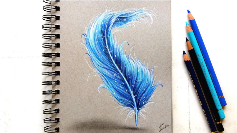 25 Easy Feather Drawing Ideas - How to Draw a Feather