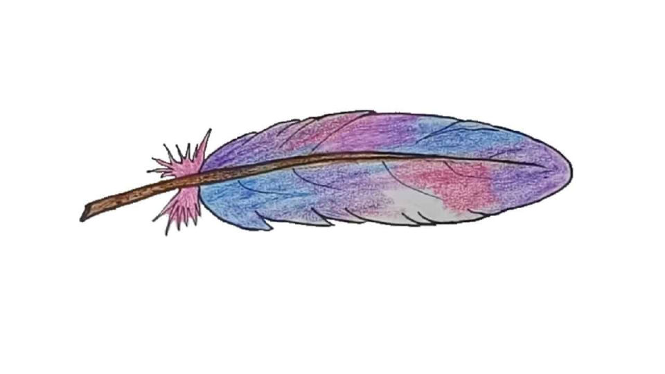 25 Easy Feather Drawing Ideas - How to Draw a Feather