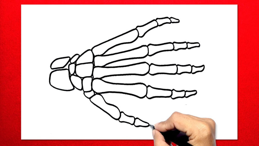 20 Skeleton Hand Drawing Ideas - How to Draw a Skeleton Hand