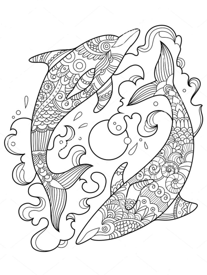 25 Free Dolphin Coloring Pages for Kids and Adults