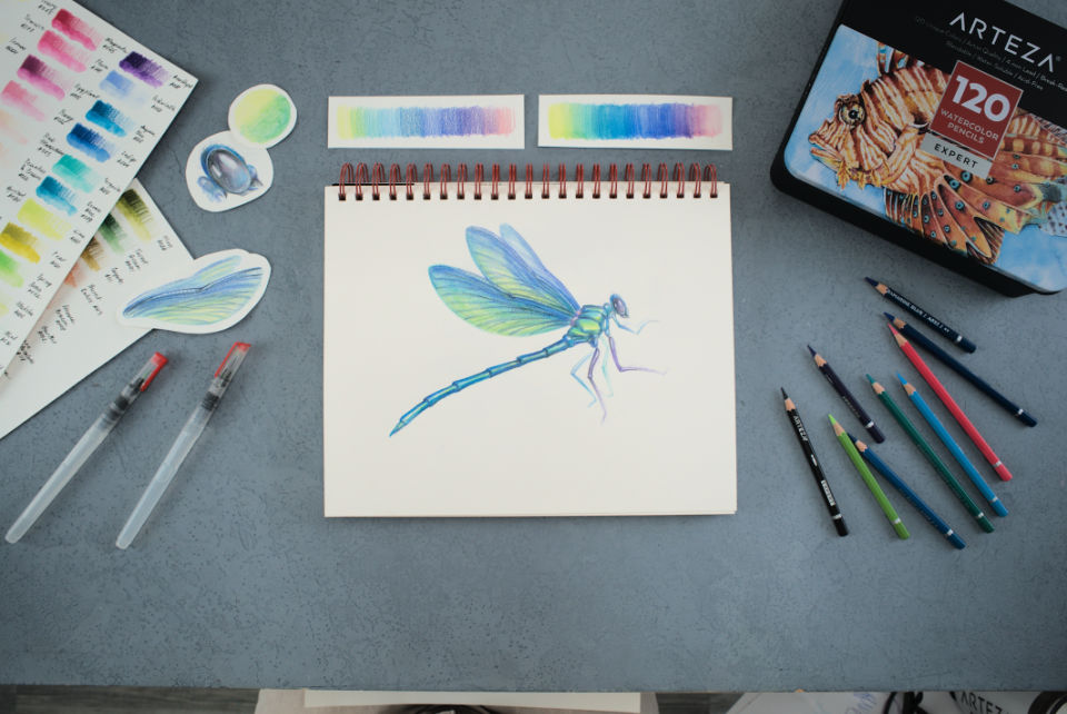 25 Easy Dragonfly Drawing Ideas - How to Draw