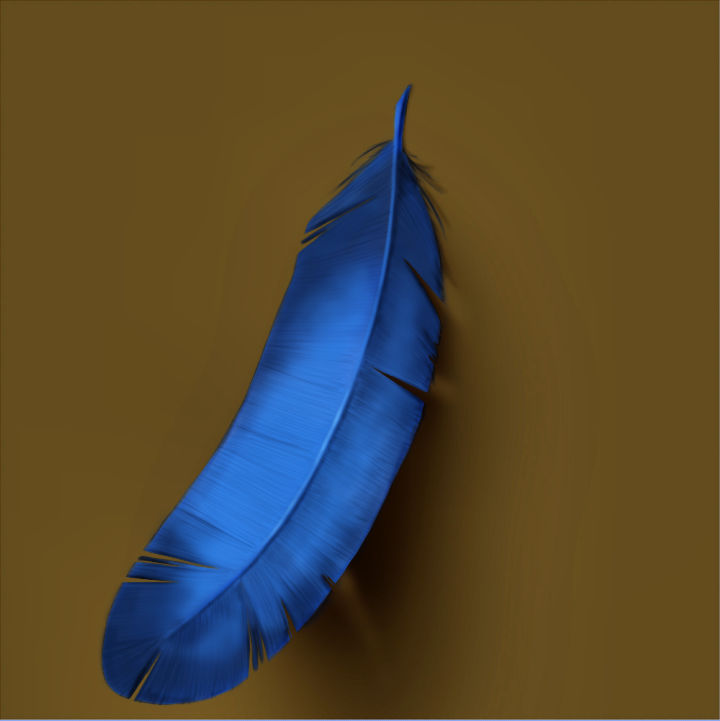 25 Easy Feather Drawing Ideas - How to Draw a Feather