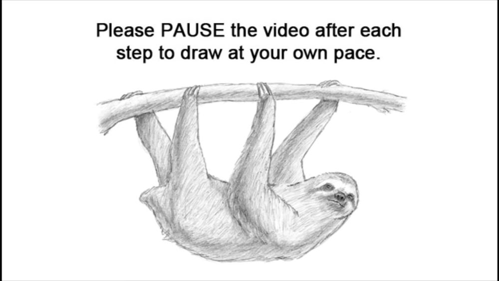 25 Easy Sloth Drawing Ideas - How to Draw a Sloth