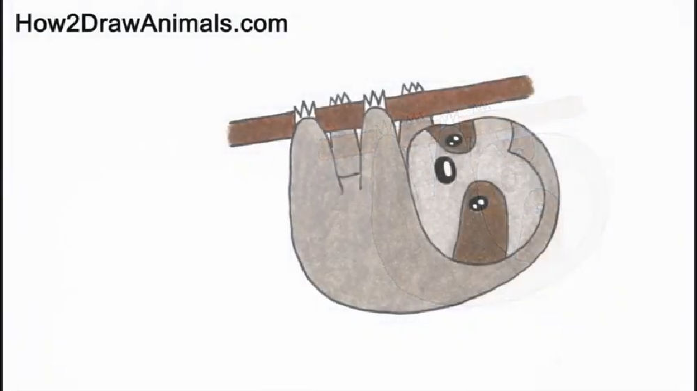 25 Easy Sloth Drawing Ideas - How to Draw a Sloth
