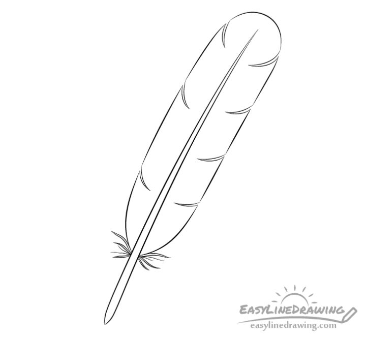 25 Easy Feather Drawing Ideas - How to Draw a Feather