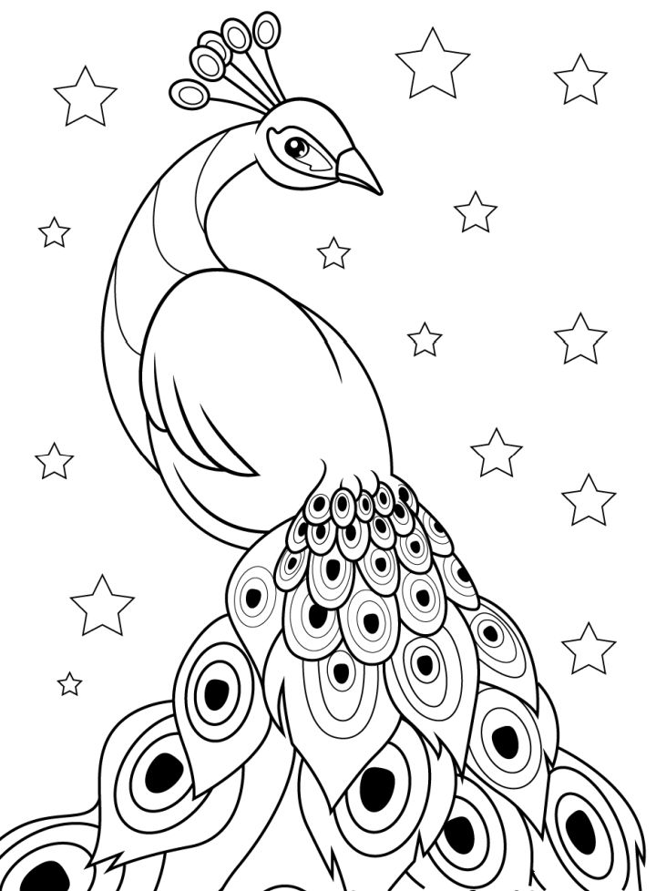 25 Free Peacock Coloring Pages for Kids and Adults