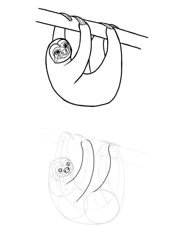 25 Easy Sloth Drawing Ideas - How to Draw a Sloth