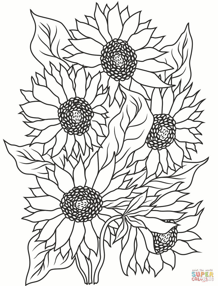 25 Free Sunflower Coloring Pages for Kids and Adults