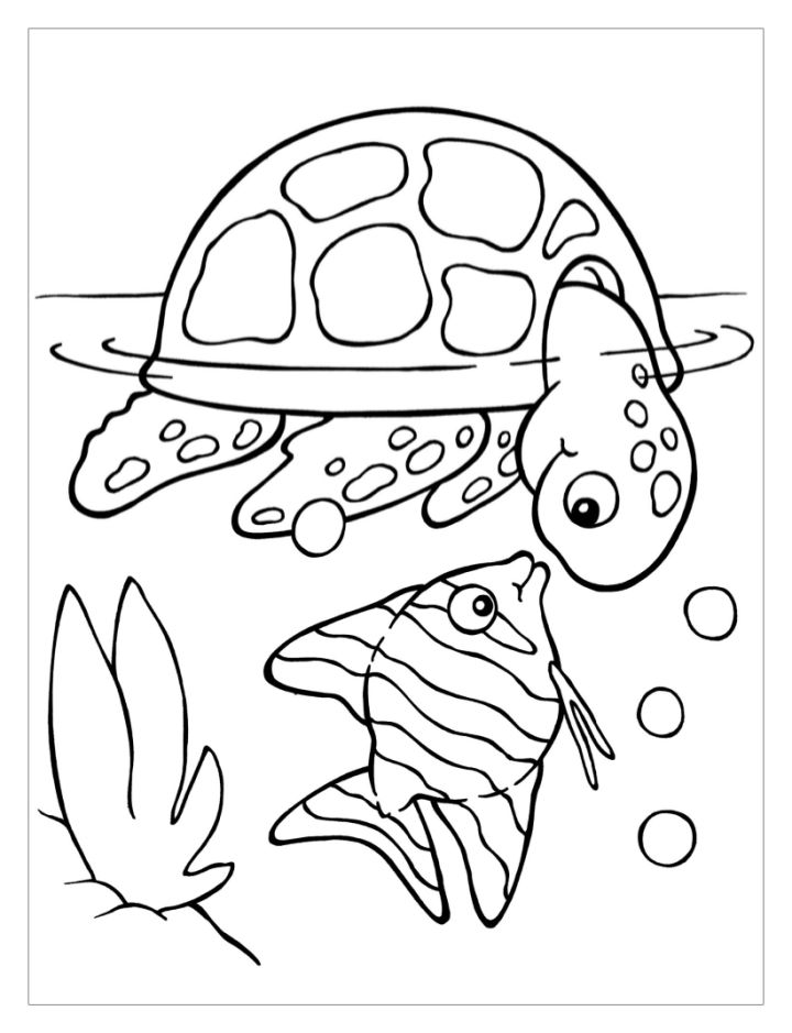 25 Free Turtle Coloring Pages for Kids and Adults