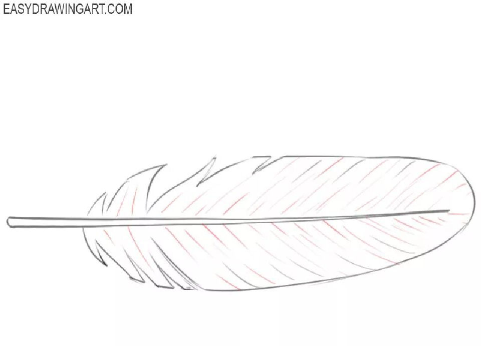 25 Easy Feather Drawing Ideas - How to Draw a Feather
