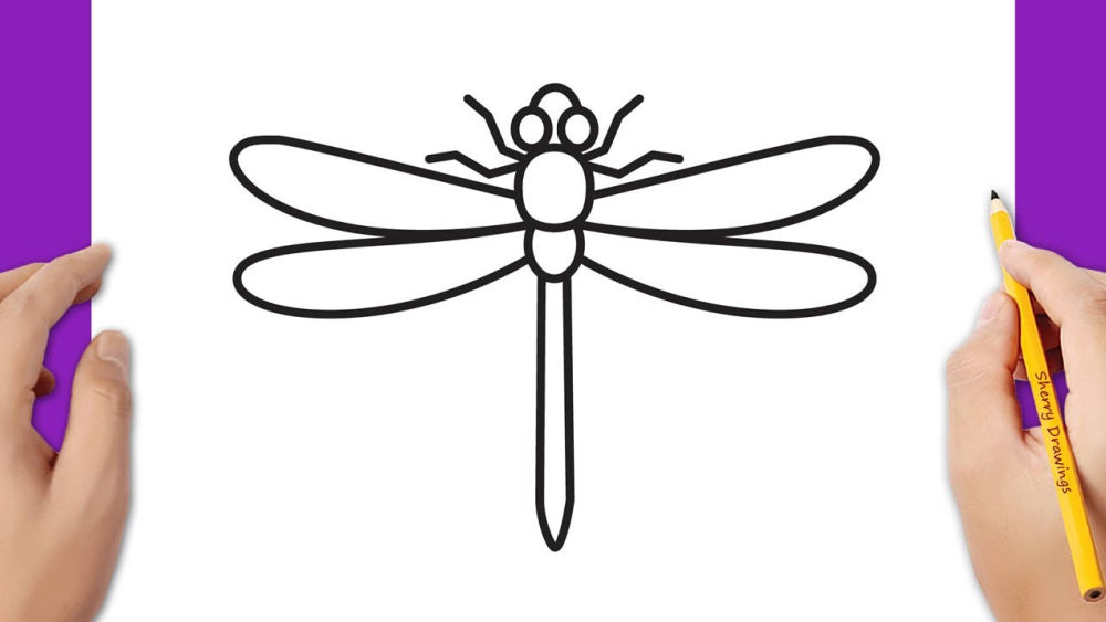 25 Easy Dragonfly Drawing Ideas - How to Draw