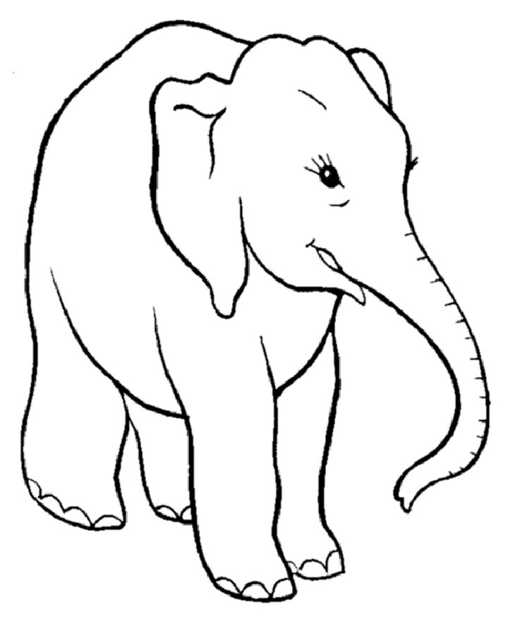 25 Free Elephant Coloring Pages for Kids and Adults