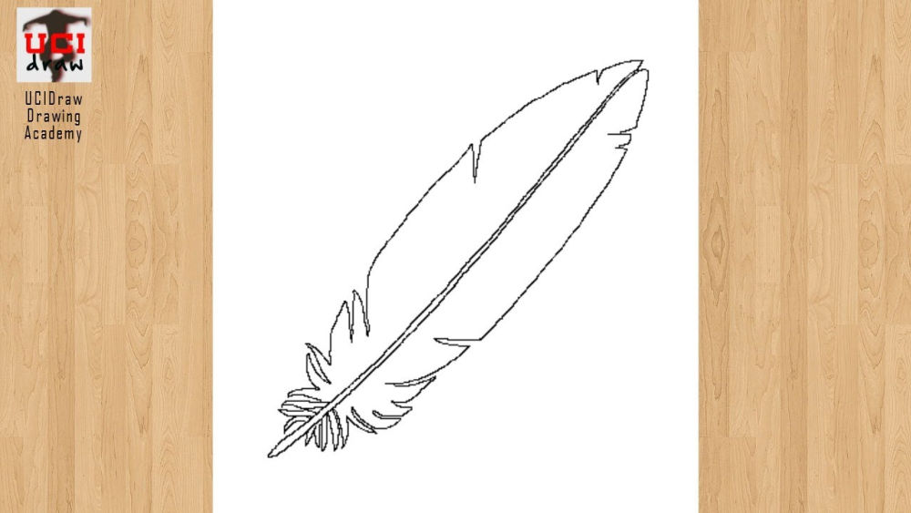 25 Easy Feather Drawing Ideas - How to Draw a Feather