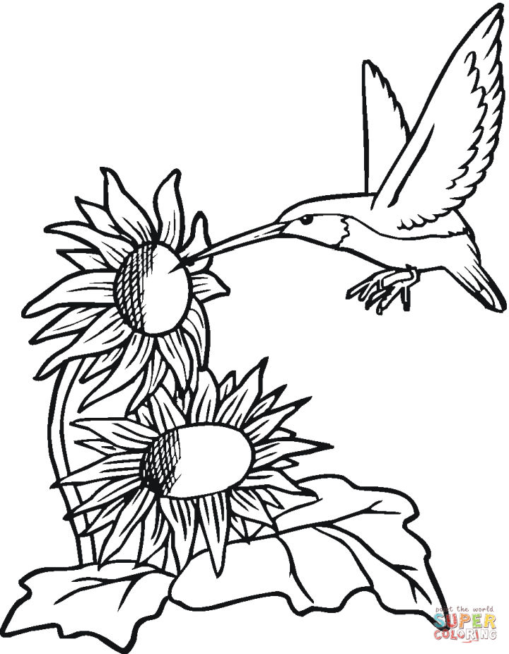 25 Free Sunflower Coloring Pages for Kids and Adults
