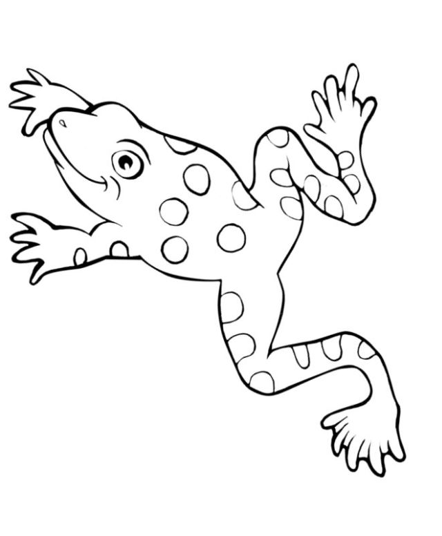 25 Free Frog Coloring Pages for Kids and Adults