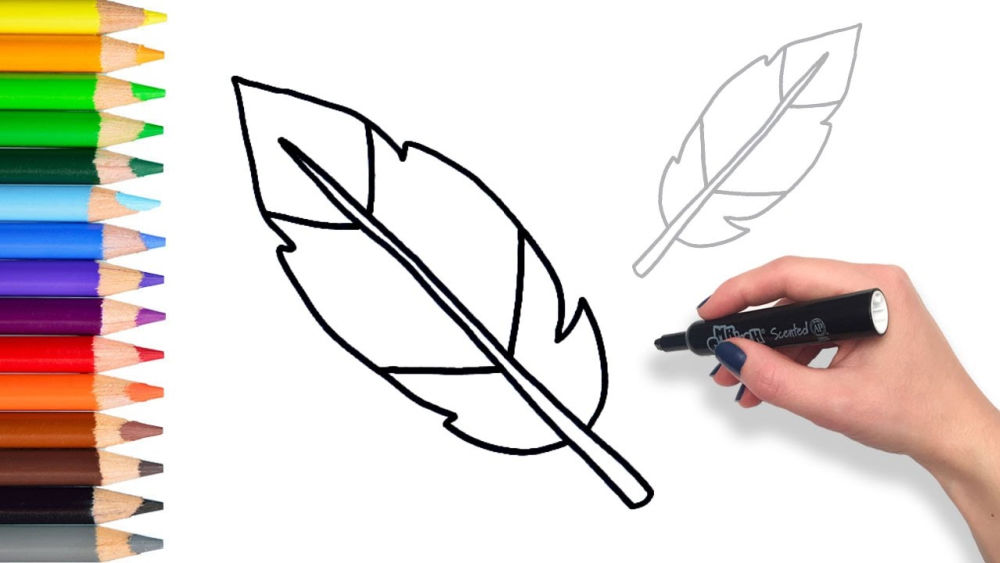 25 Easy Feather Drawing Ideas - How to Draw a Feather