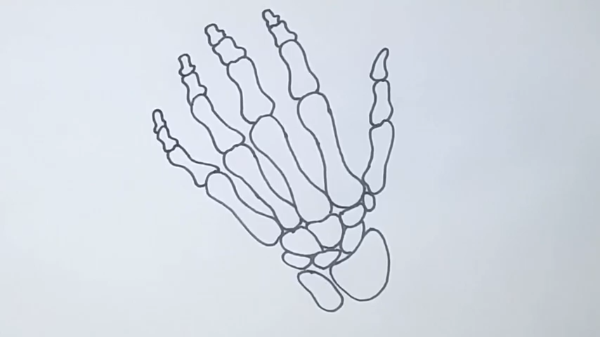 20 Skeleton Hand Drawing Ideas - How to Draw a Skeleton Hand
