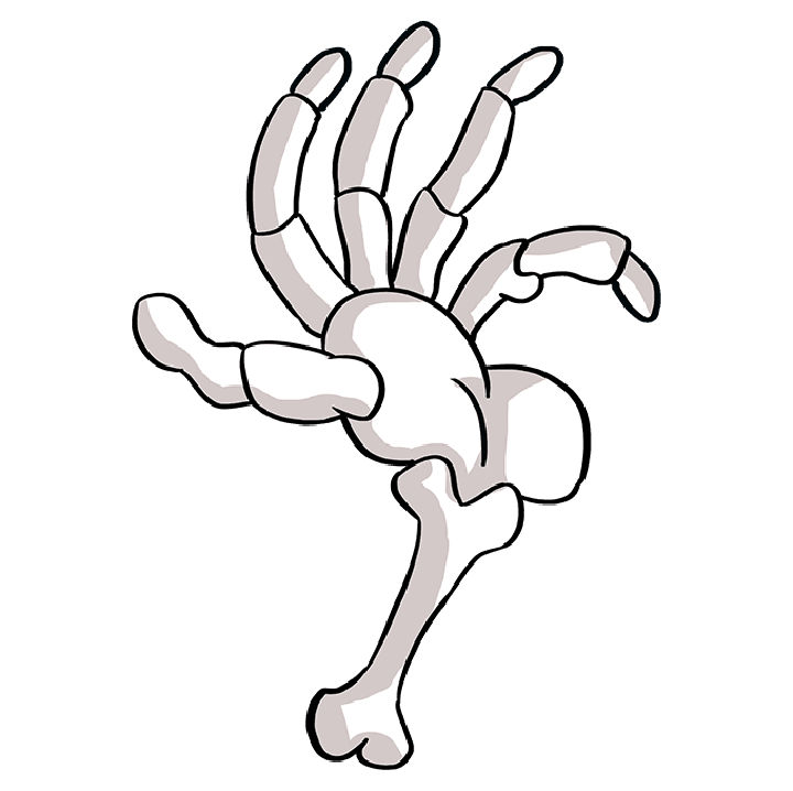 20 Skeleton Hand Drawing Ideas - How to Draw a Skeleton Hand
