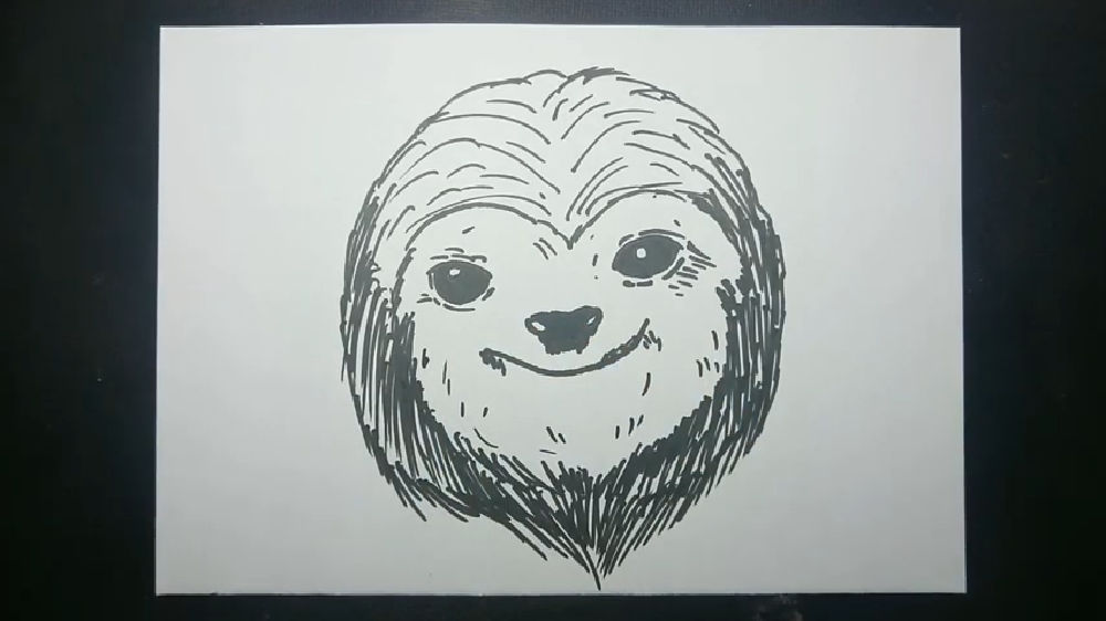 25 Easy Sloth Drawing Ideas - How to Draw a Sloth