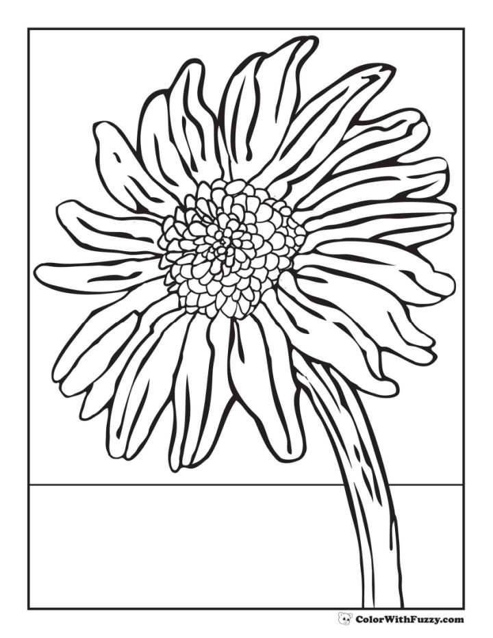 25 Free Sunflower Coloring Pages for Kids and Adults