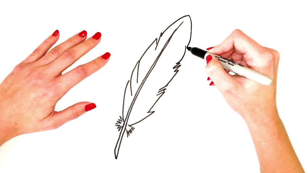 25 Easy Feather Drawing Ideas - How to Draw a Feather