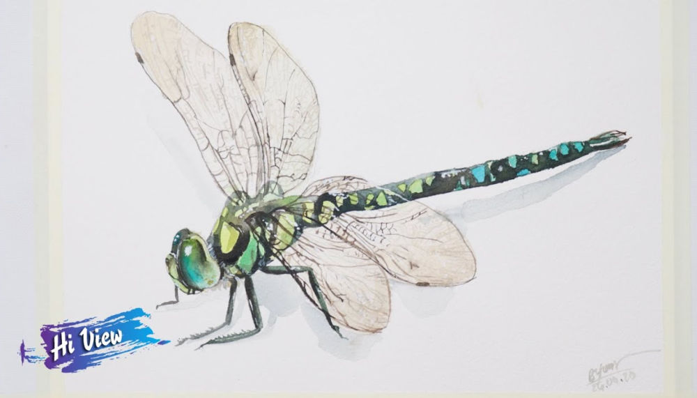 25 Easy Dragonfly Drawing Ideas - How to Draw