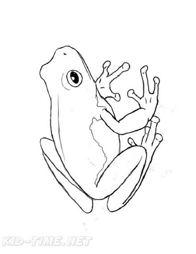 25 Free Frog Coloring Pages for Kids and Adults