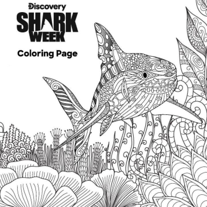 25 Free Shark Coloring Pages for Kids and Adults
