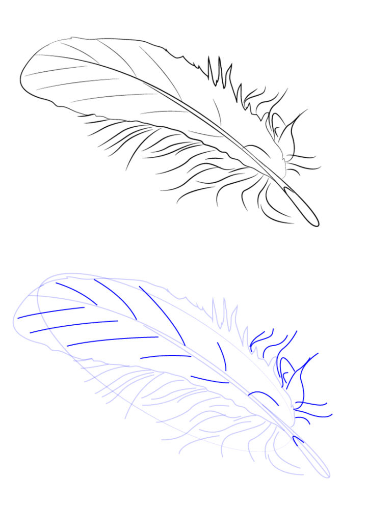 25 Easy Feather Drawing Ideas How To Draw A Feather