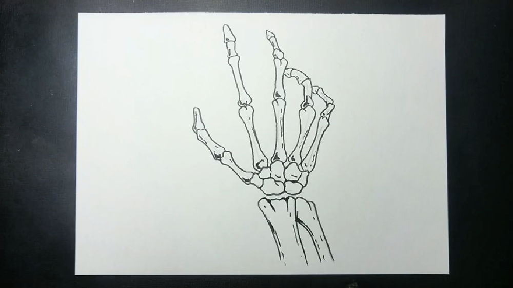 20 Skeleton Hand Drawing Ideas - How to Draw a Skeleton Hand