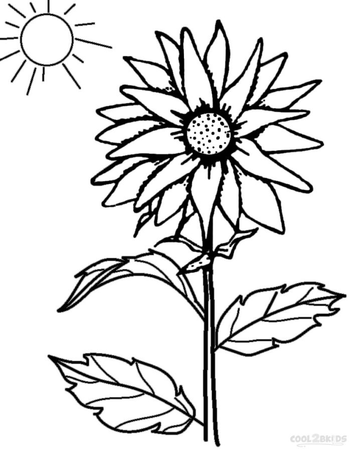 25 Free Sunflower Coloring Pages for Kids and Adults