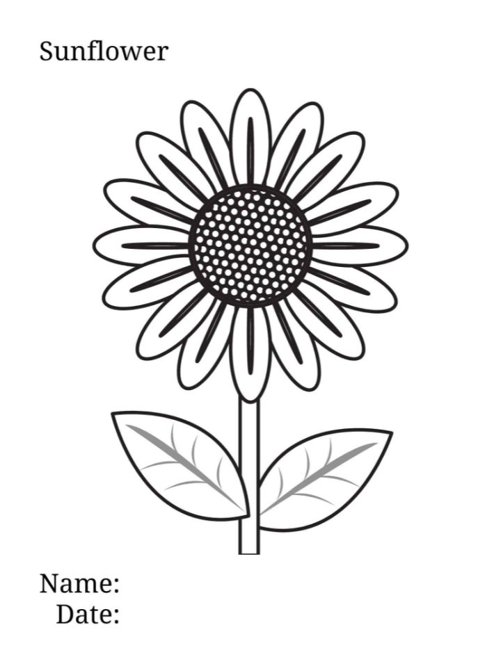 25 Free Sunflower Coloring Pages for Kids and Adults