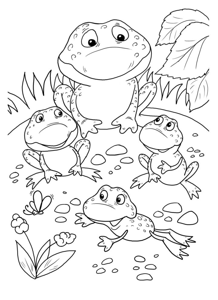 25 Free Frog Coloring Pages for Kids and Adults