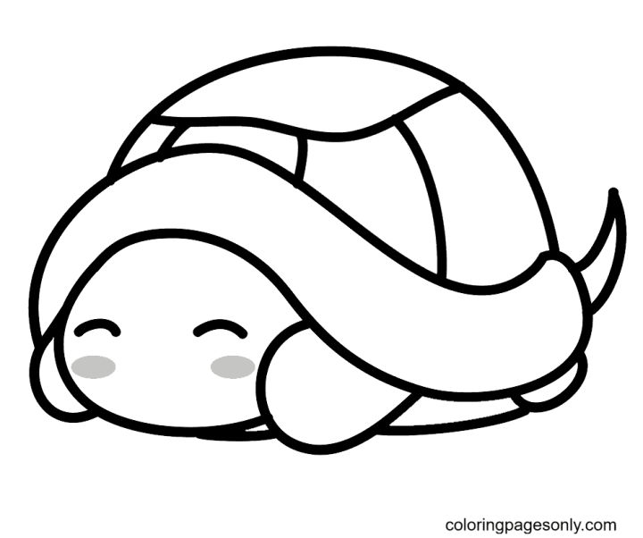 25 Free Turtle Coloring Pages for Kids and Adults